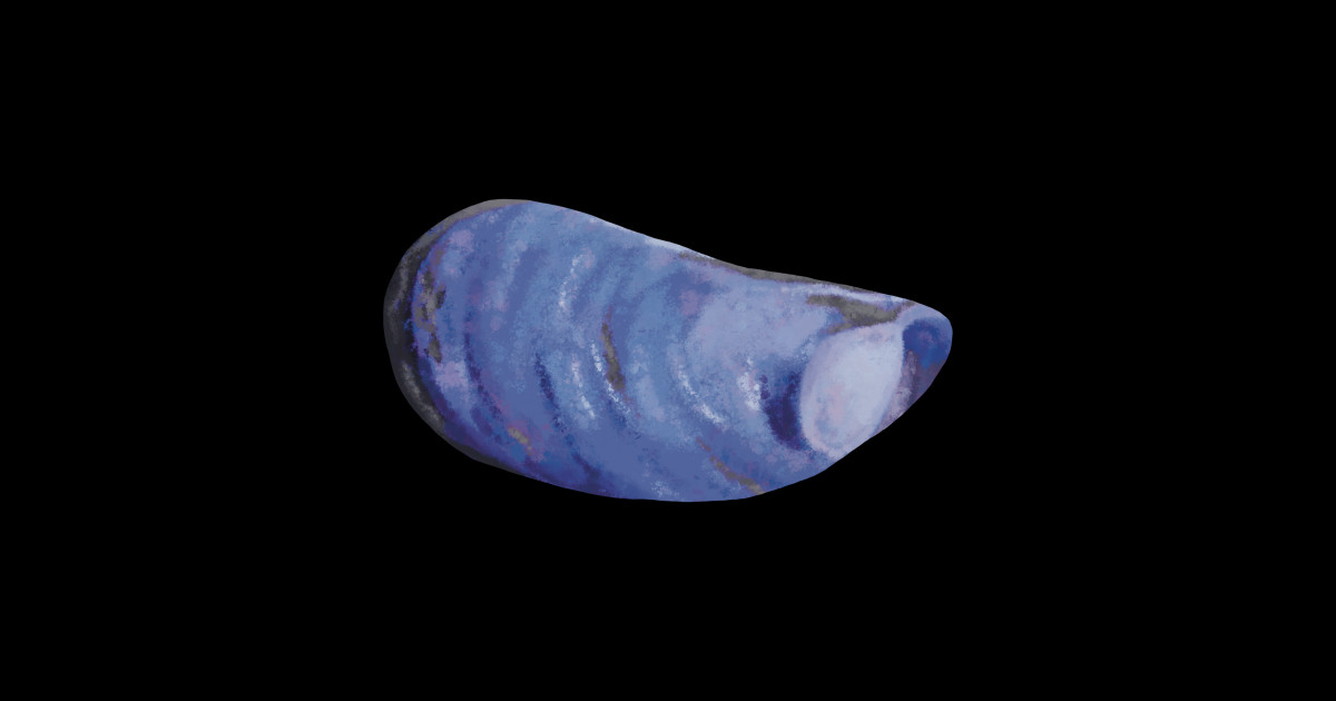 Blue Mussel Shell - Blue Mussel - Sticker | TeePublic