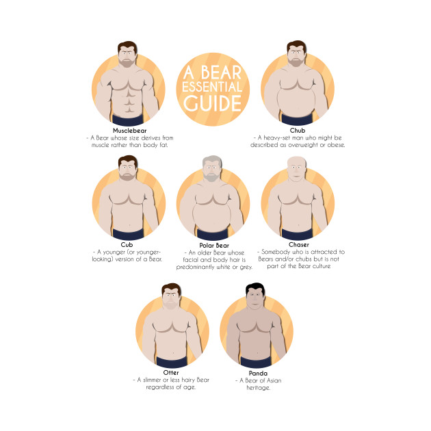 A Bear Essential Guide - Gay - T-Shirt | TeePublic