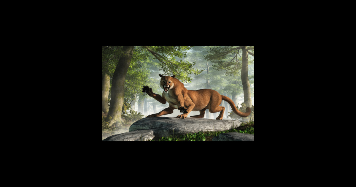 The Wampus Cat Wampus Cat Sticker Teepublic
