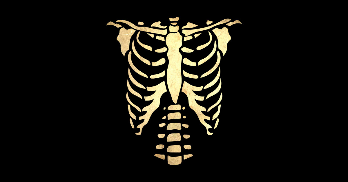 skeleton rib cage - Skeleton Rib Cage - Sticker | TeePublic