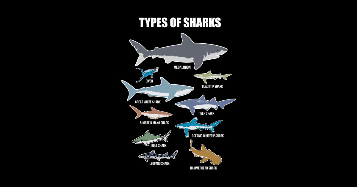 9 Types Of Shark' Educational Shark - Shark - Sticker | TeePublic