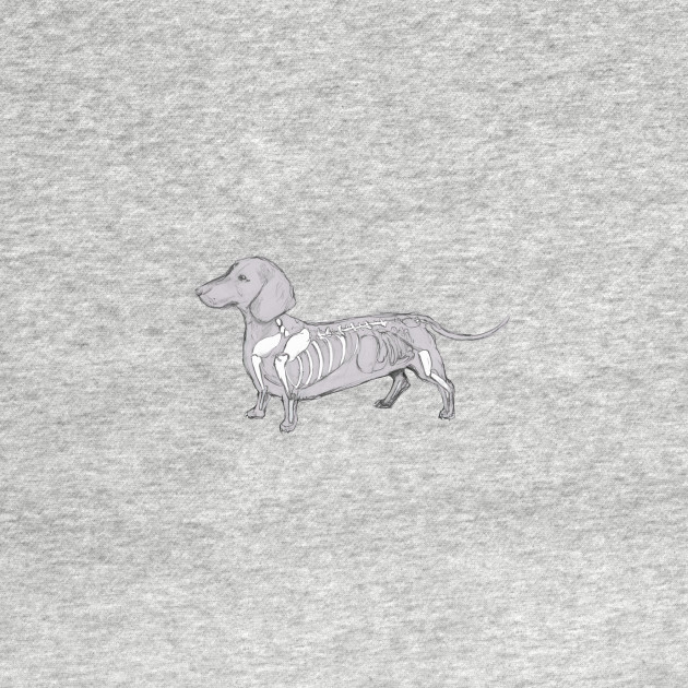 Dachshund Skeleton - Sausage Dog - T-Shirt sold by Deepali Singh | SKU ...