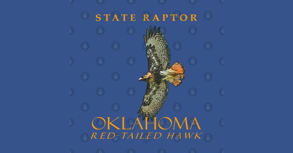 Oklahoma Territory Raptor The Red-Tailed Hawk - Oklahoma Wildlife - T ...