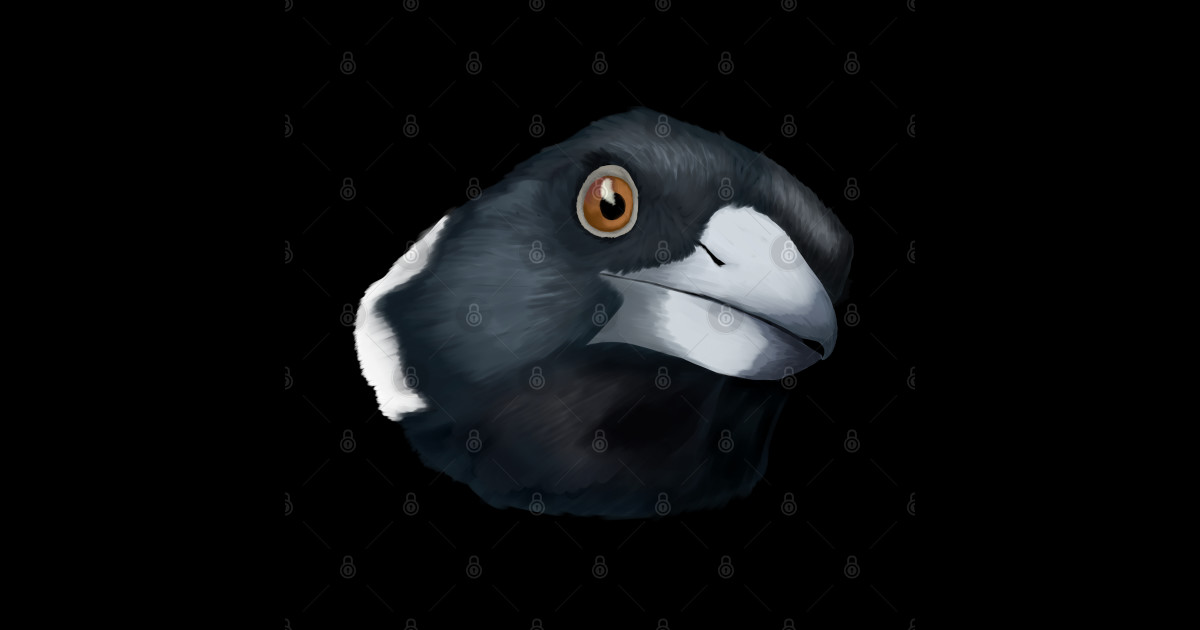 Magpie Face - Magpie - Sticker | TeePublic