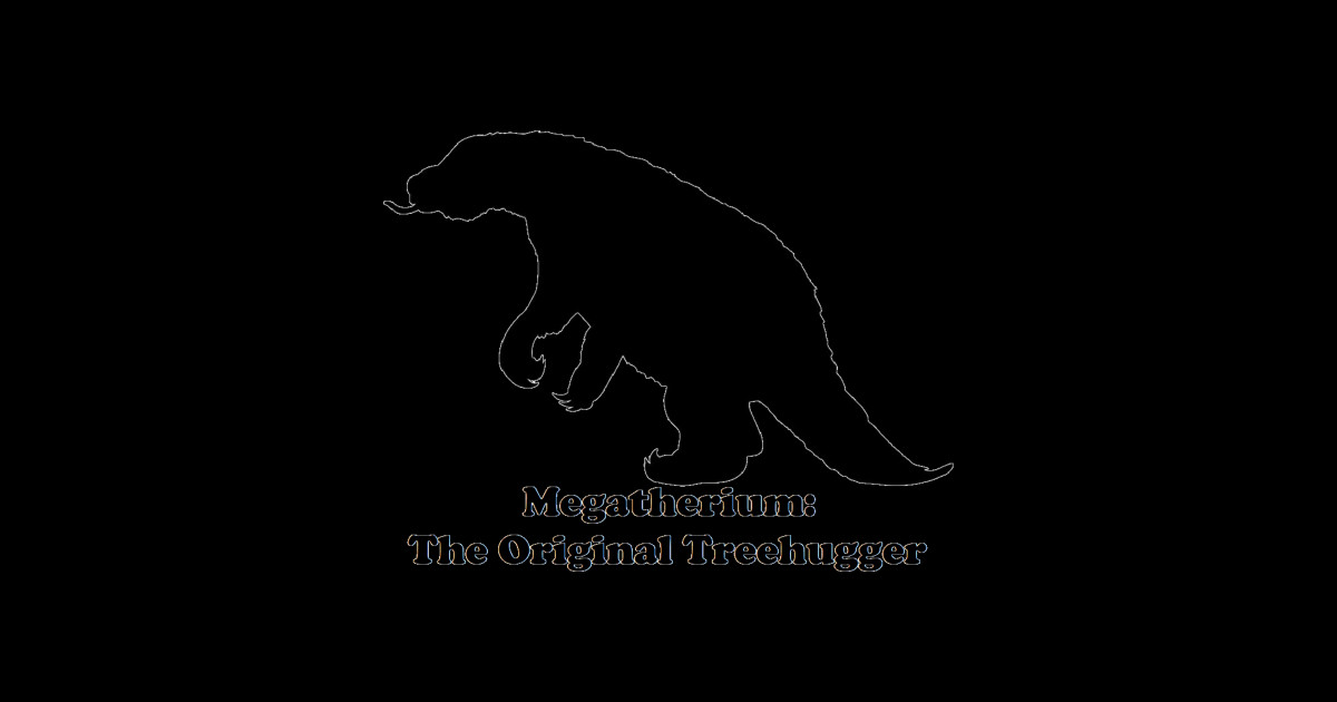 Back Design-- Megatherium: The Original Treehugger - Ground Sloth ...