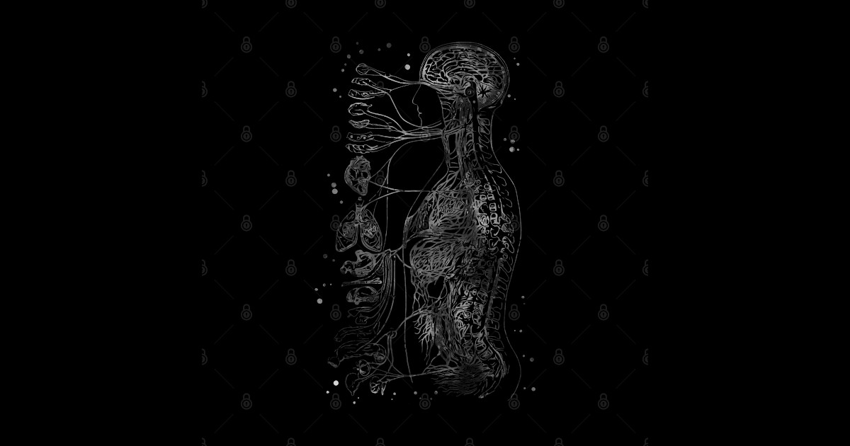 Autonomic Nervous System - Nervous System Artwork - Sticker | TeePublic