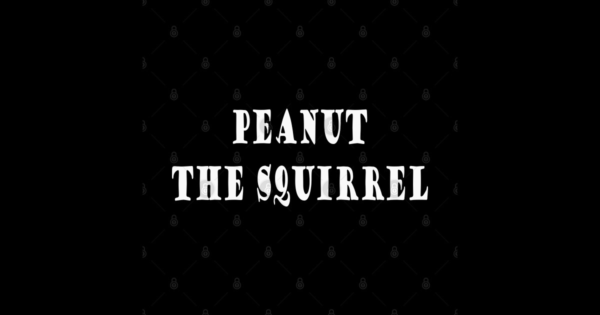 Peanut the squirrel - Peanut The Squirrel - Posters and Art Prints ...