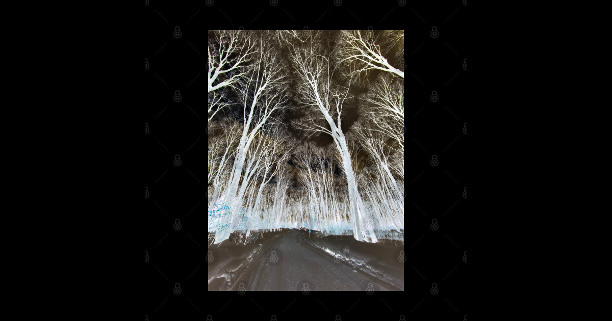 Negative Forest - Negatives - Sticker | TeePublic