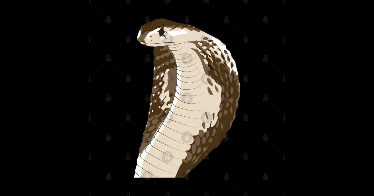 Cobra Head - Cobra - Sticker | TeePublic