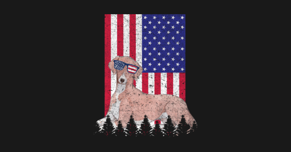 Azawakh Patriotic Dog USA Pride American Flag - Womens - T-Shirt ...