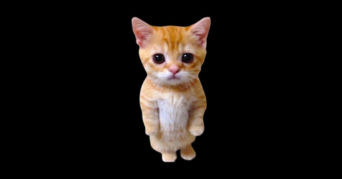 El Gato - Y2K UNISEX - El Gato Cat Meme - Sticker | TeePublic