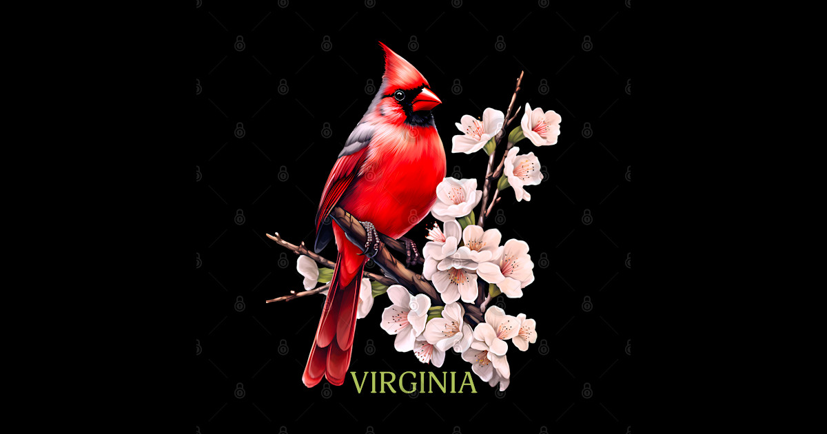 State of Virginia Cardinal State Bird - Virginia - Sticker | TeePublic