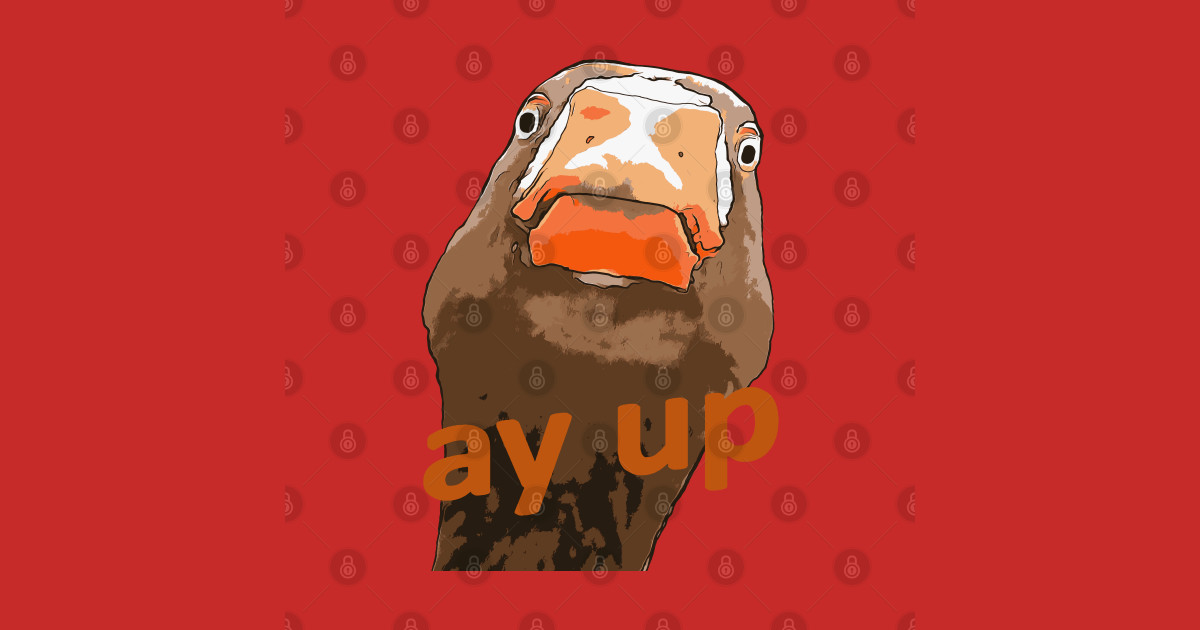 Ay Up Greeting Nerdy Duck Face Black Outline Art - Ay Up Me Duck - T ...