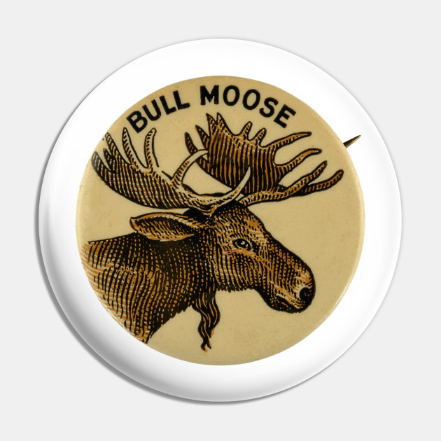 Theodore Roosevelt Joins Bull Moose Party | atelier-yuwa.ciao.jp
