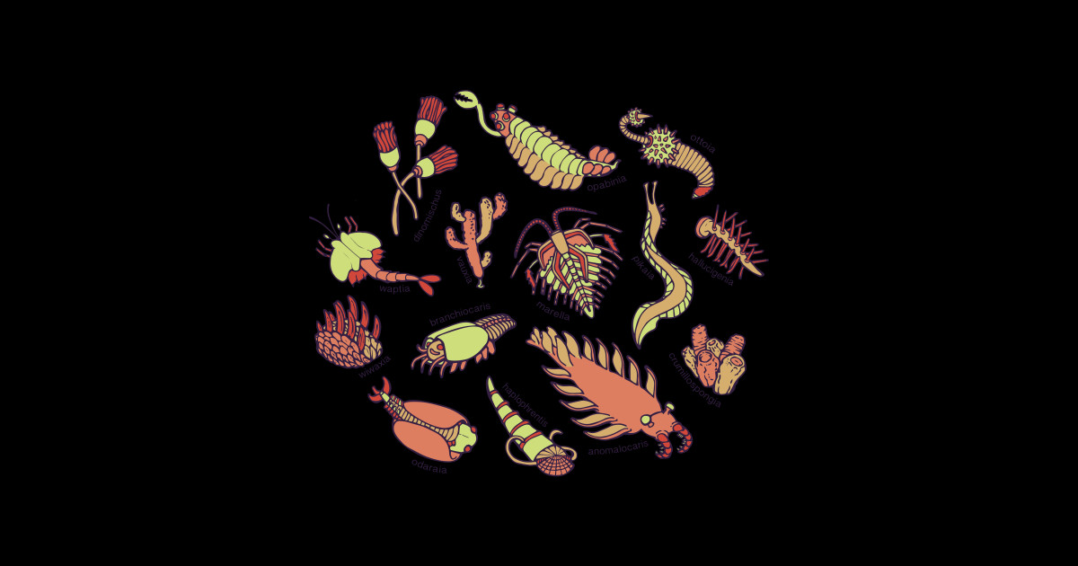 Cambrian Critters - Science - Sticker | TeePublic