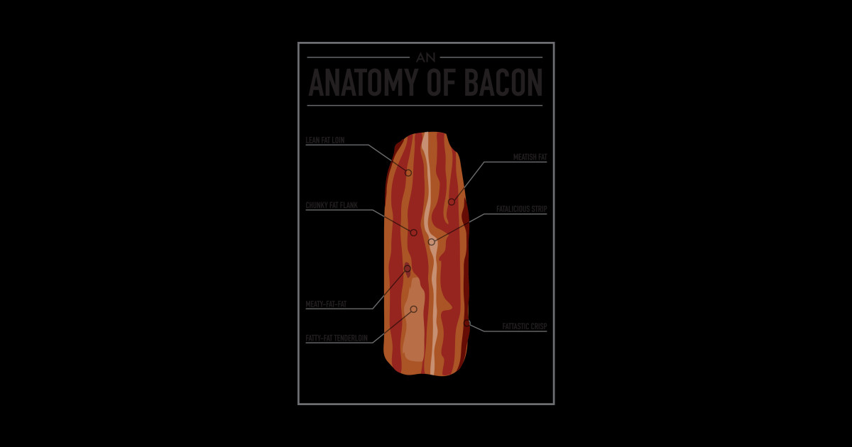 An Anatomy of Bacon - Bacon - Sticker | TeePublic