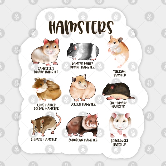 Many different hamsters - types of hamsters - Hamsters - Sticker ...