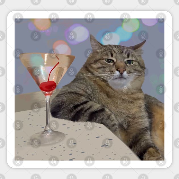 Stepan The Cat meme - Meme Cat - Sticker | TeePublic