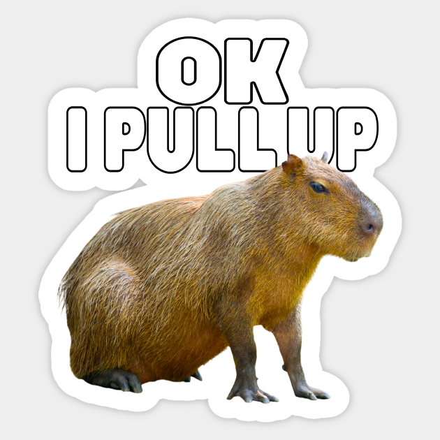 Ok I Pull Up Capybara - Capybara - Sticker | TeePublic