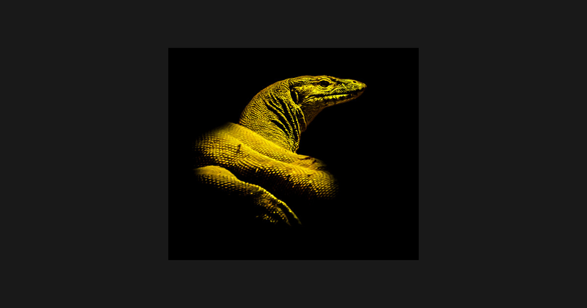 Monitor lizard - Lizard - T-Shirt | TeePublic