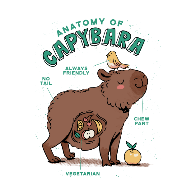 Capybara Anatomy - Animal - T-Shirt | TeePublic