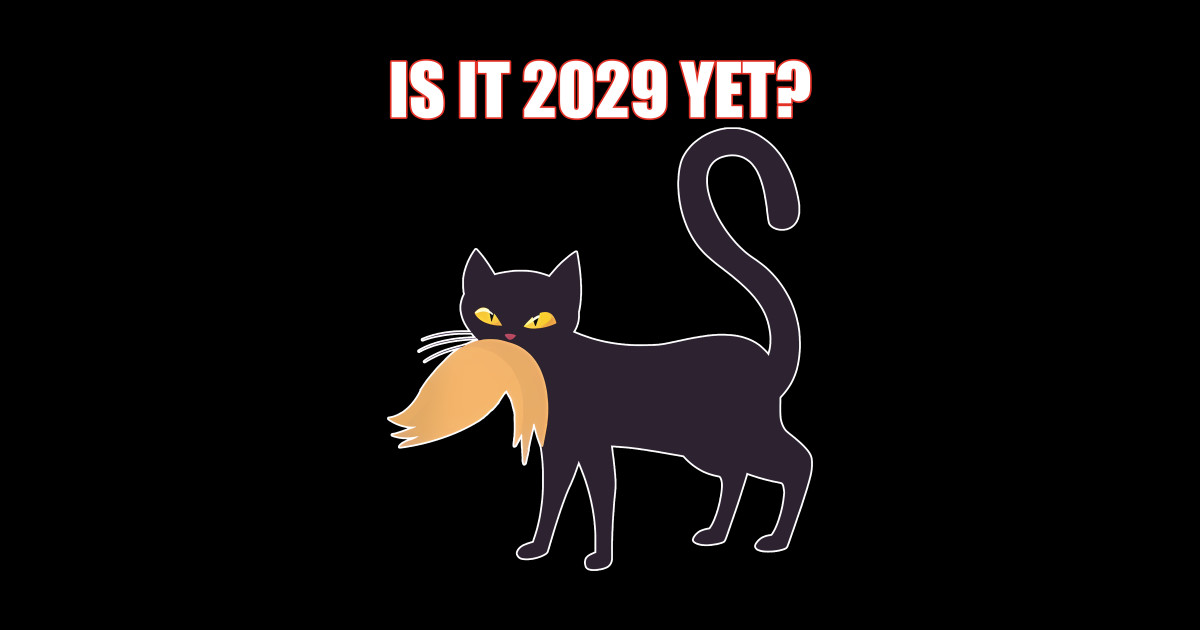 Is It 2029 Yet? Election Result 2025 - Political Humor - Sticker ...
