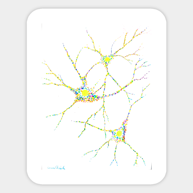 Colorful pyramidal neurons drawing - Pyramidal Neurons - Sticker ...