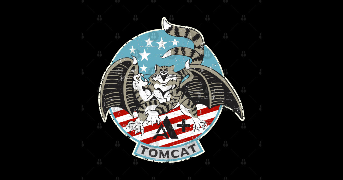 Grumman F-14 Tomcat A+ (plus) - Grunge Style - Grumman F 14 Tomcat ...