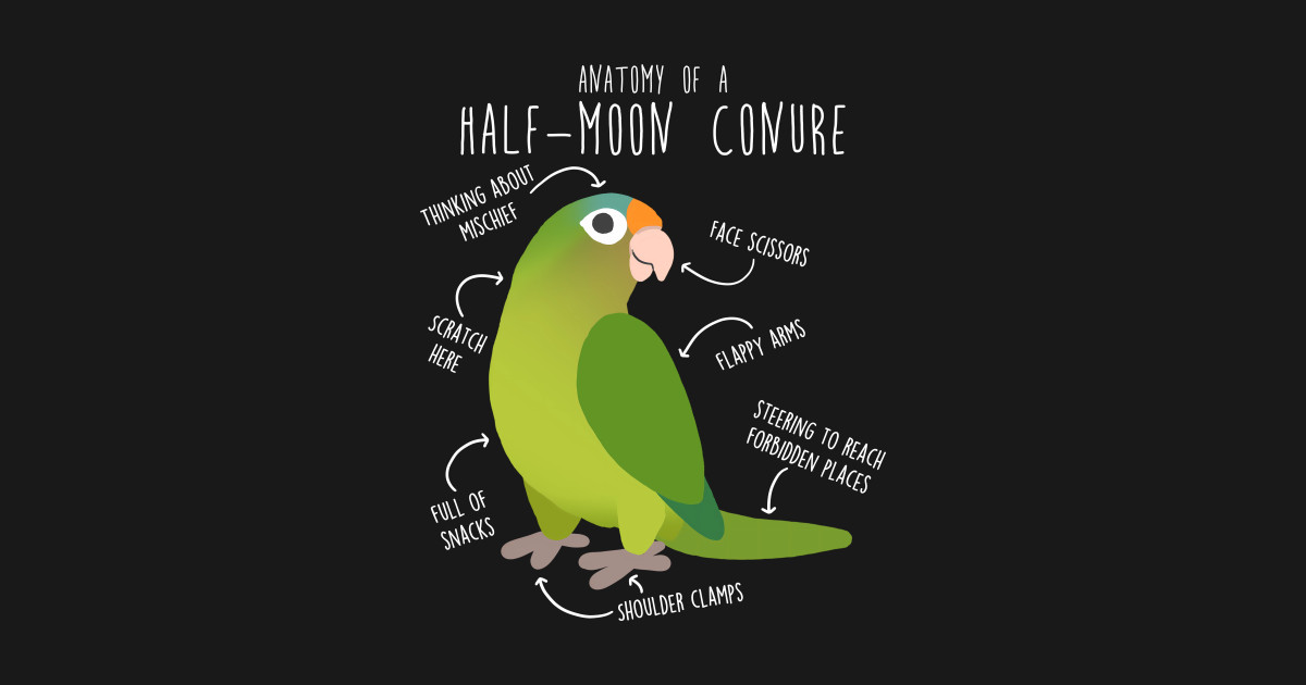 Half-Moon Conure Parrot Anatomy - Half Moon Conure - T-Shirt | TeePublic