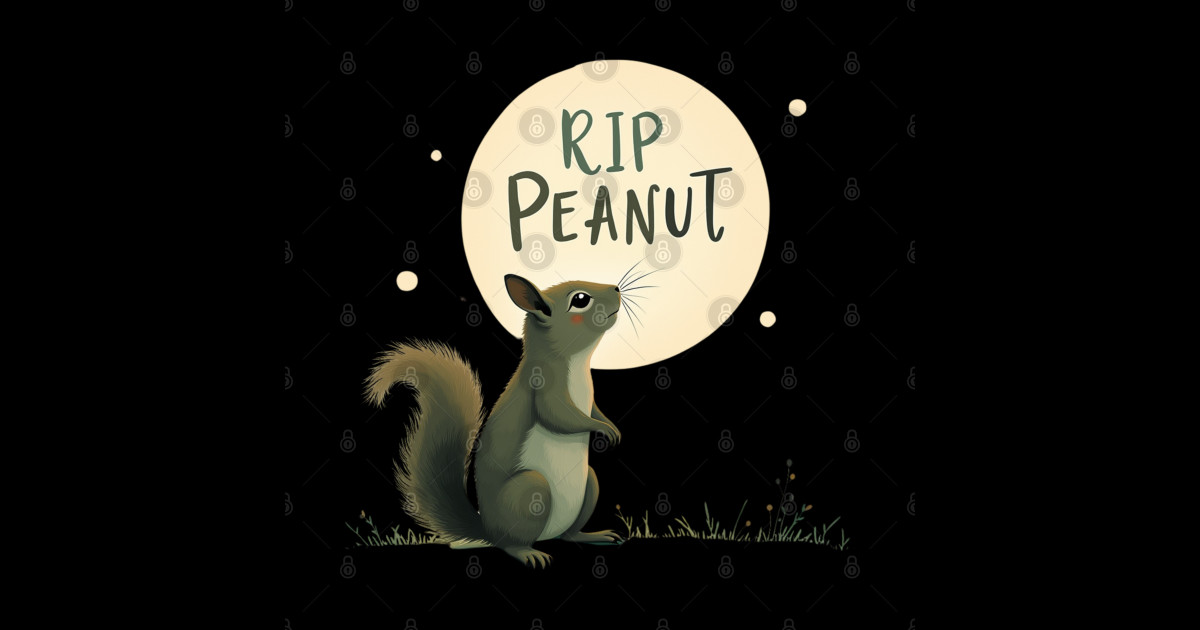 RIP Peanut Squirrel Tribute – Justice For Peanut - Justice For Peanut ...
