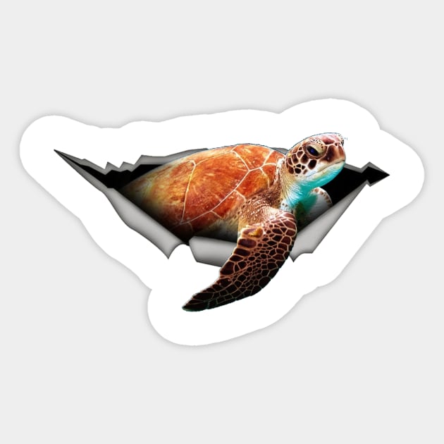 Funny turtle sticker Sticker - Turtle Gifts For Women Funny Turtle Sti ...