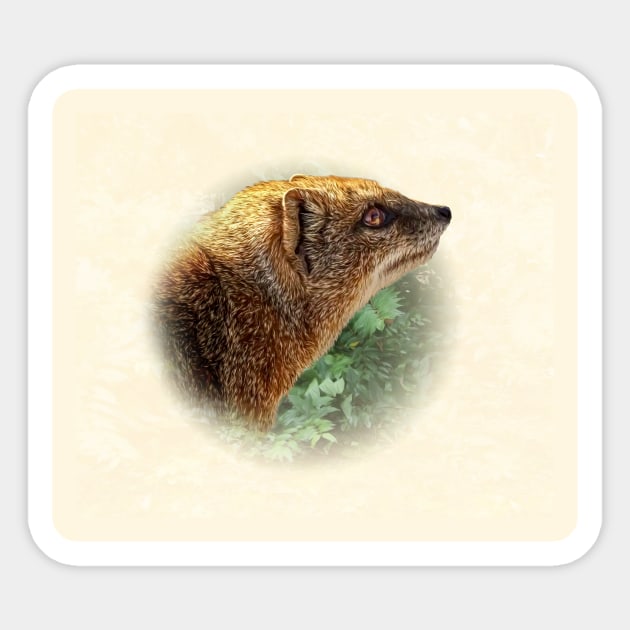 Yellow mongoose - Mongoose - Sticker | TeePublic