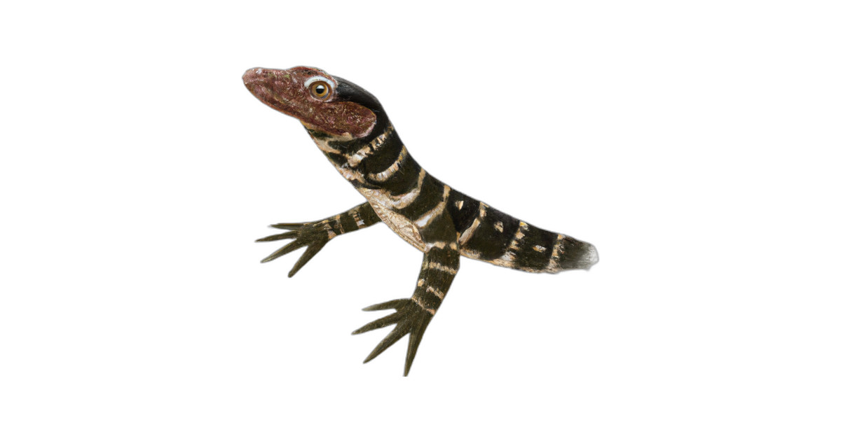 Cute Monitor Lizard Drawing - Cute Monitor Lizard - T-Shirt | TeePublic