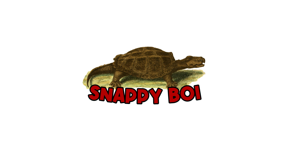 snappy boi snapping turtle meme illustration - Hydro - T-Shirt | TeePublic