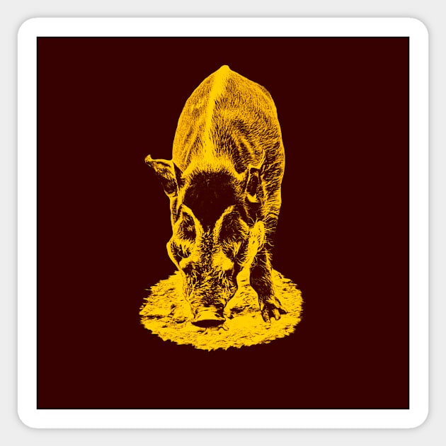 Red river hog - Pig - Sticker | TeePublic