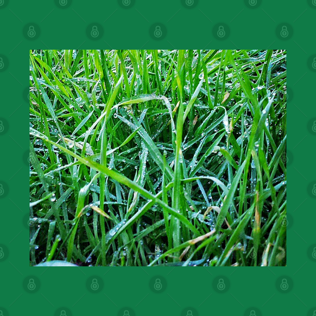 Dewy Grass - Dewy Grass - T-Shirt | TeePublic