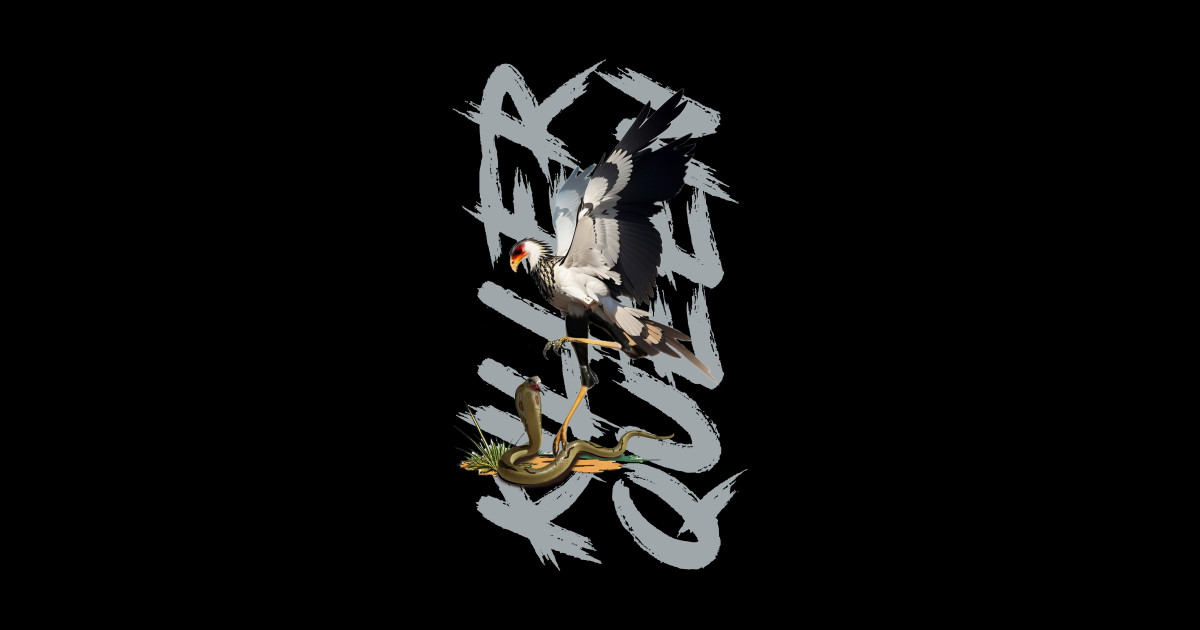 Killer Queen vs Naja - Secretarybird vs Snake - Secretarybird Vs Snake ...