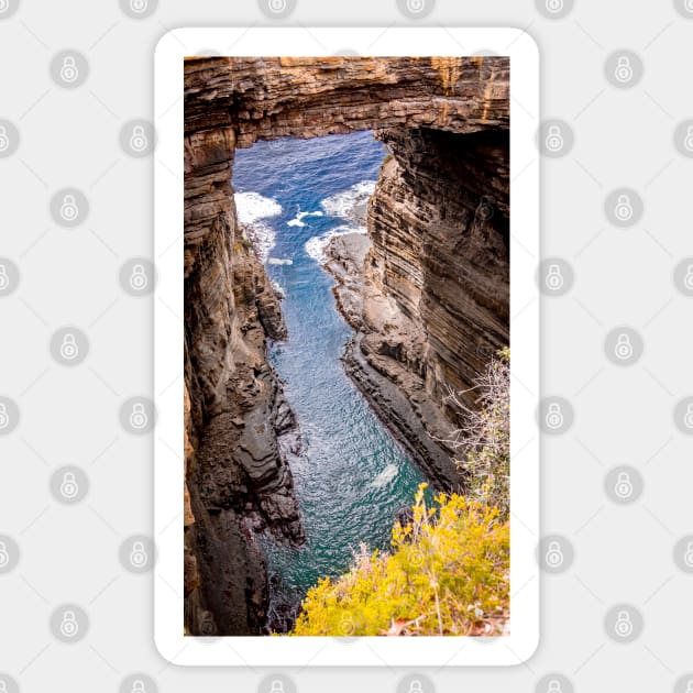 Tasmania - Tasmania - Sticker | TeePublic