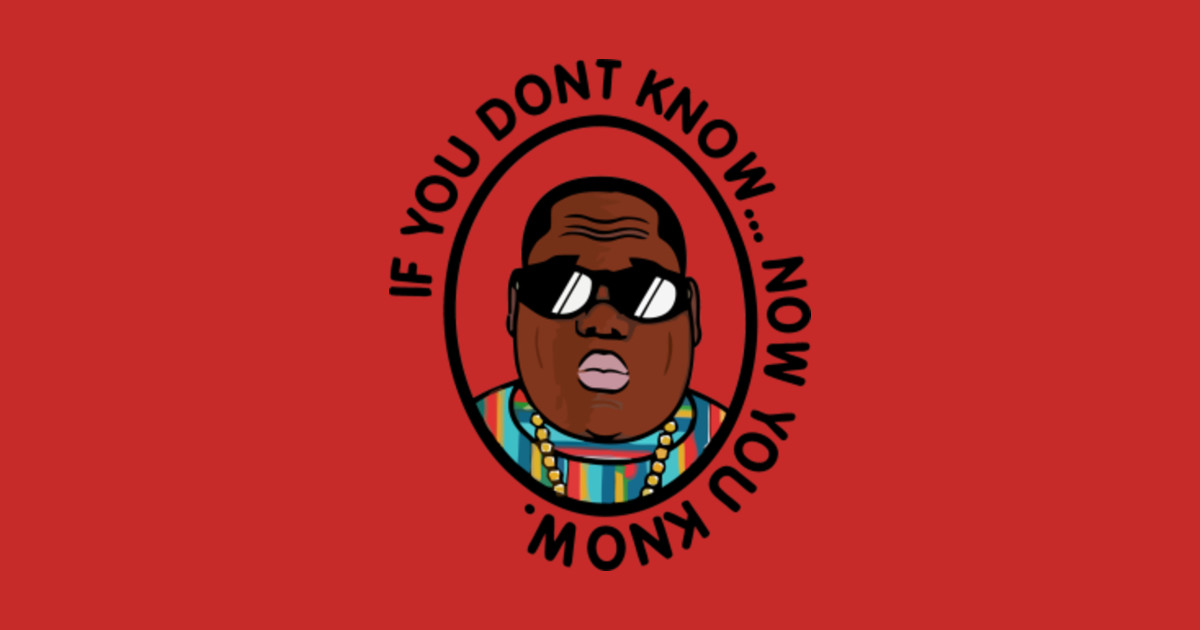If You Dont Know Now You Know Notorious T Shirt Teepublic