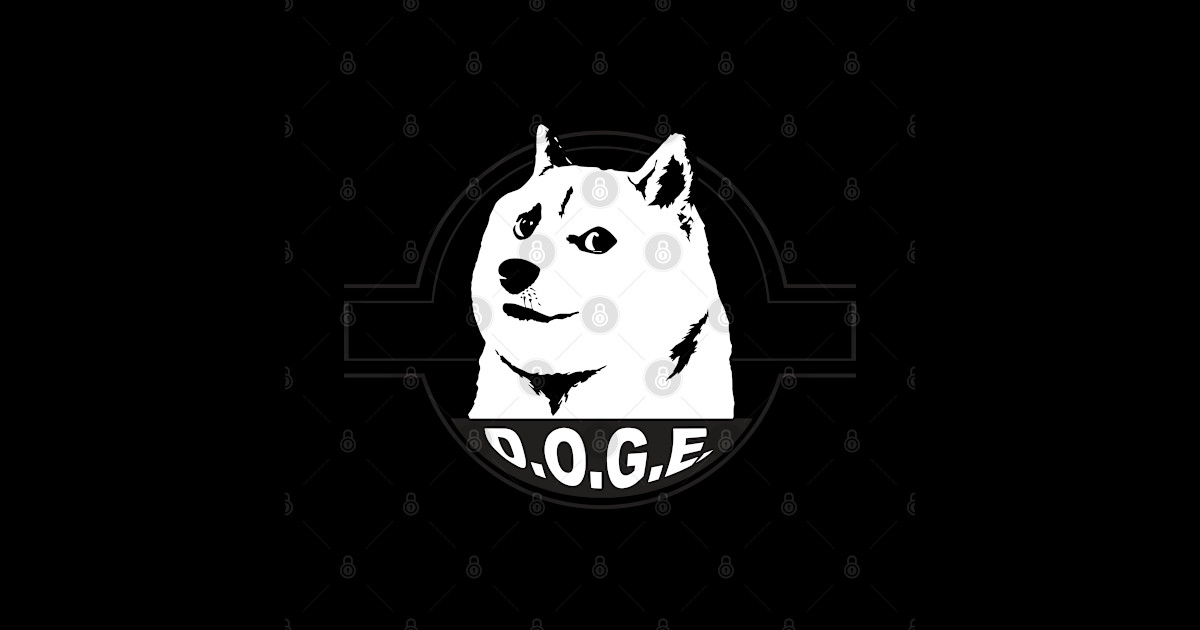 DOGE - Trump Musk Ramaswamy Department of Government Efficiency - Doge ...