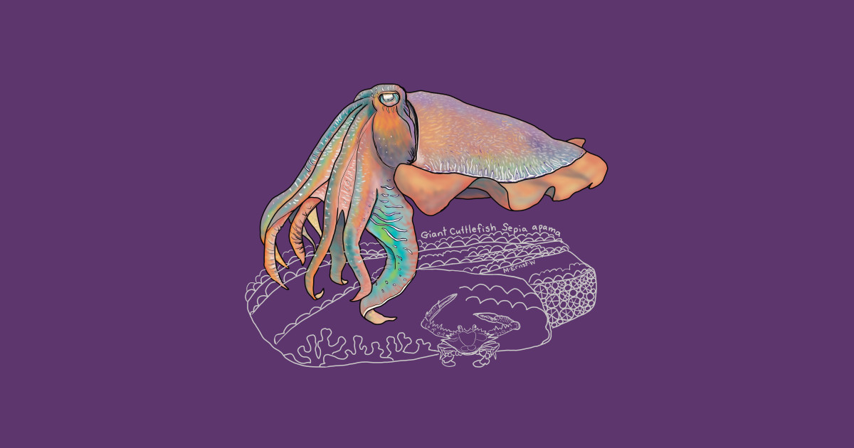 Cuttlefish Doodle-dark background - Cuttlefish - T-Shirt | TeePublic