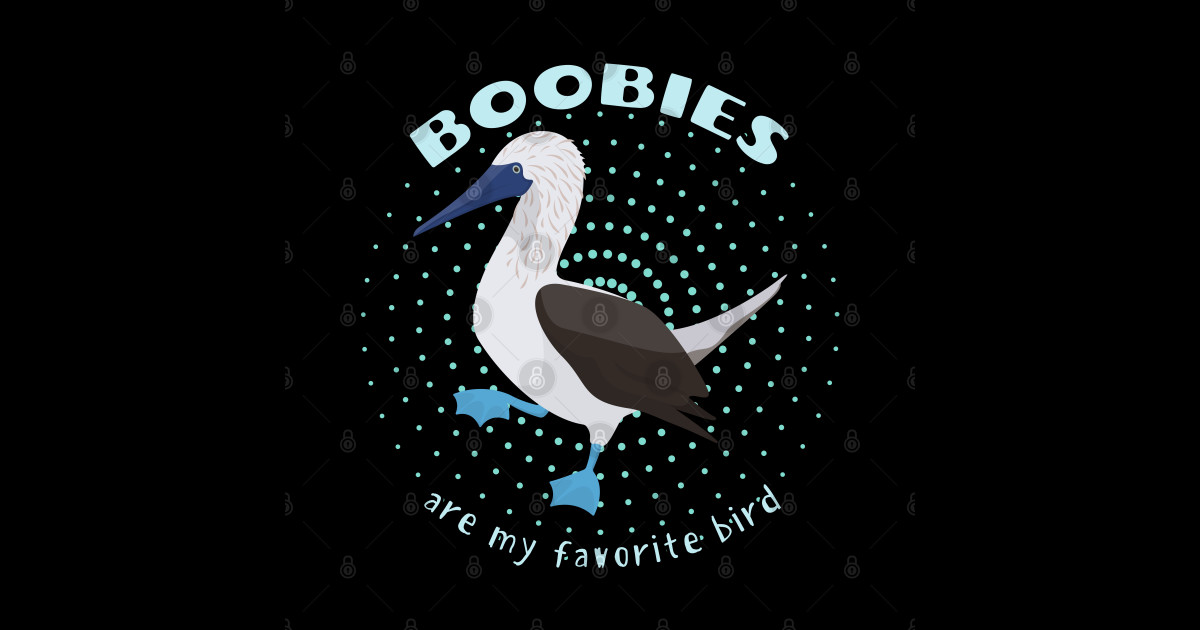 Boobies are my favorite bird - Blue Footed Booby - Sticker | TeePublic