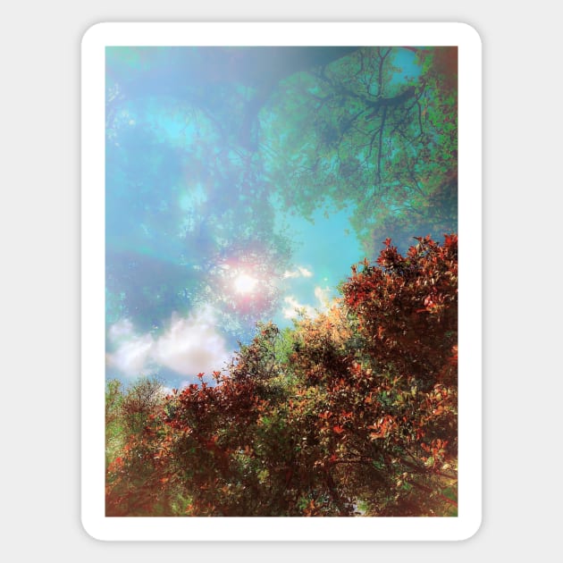 Nature collage - Seasonal - Sticker | TeePublic