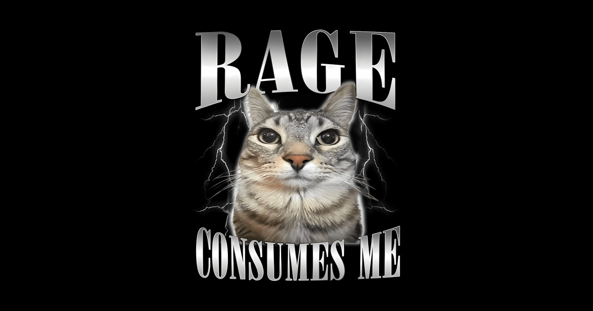 Rage Consumes Me Cat Oddly Specific Cat - Funny Cat Meme - Sticker ...