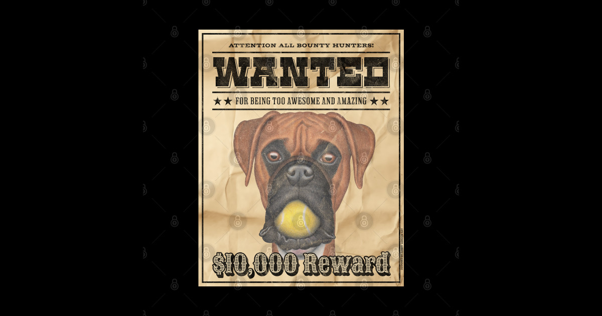funny Cute Boxer Dog Wanted Poster - Boxer Dog Funny - Posters and Art ...