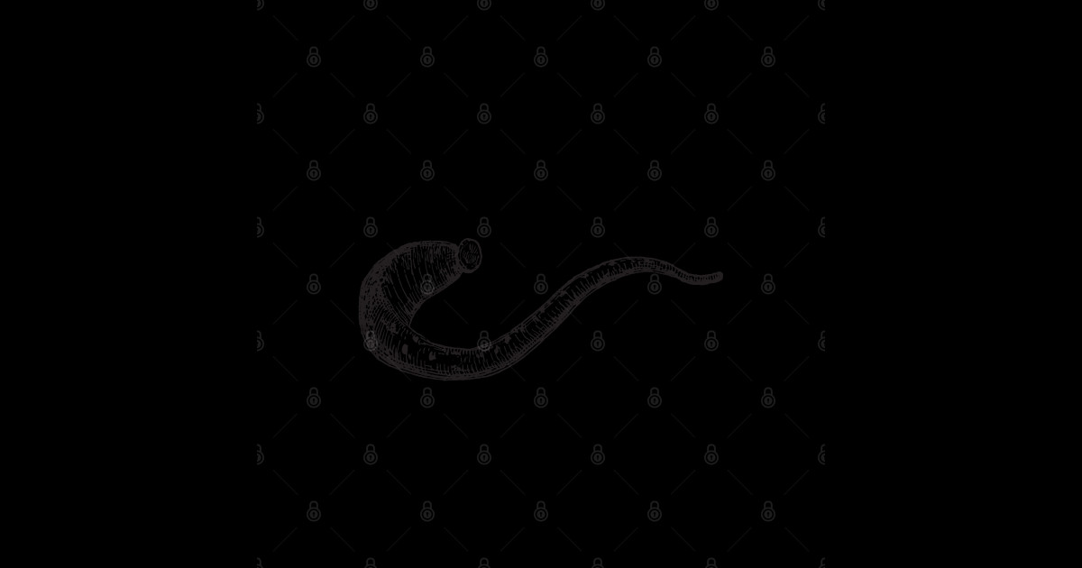 Don't be like Leech! - Funny Leech - Sticker | TeePublic