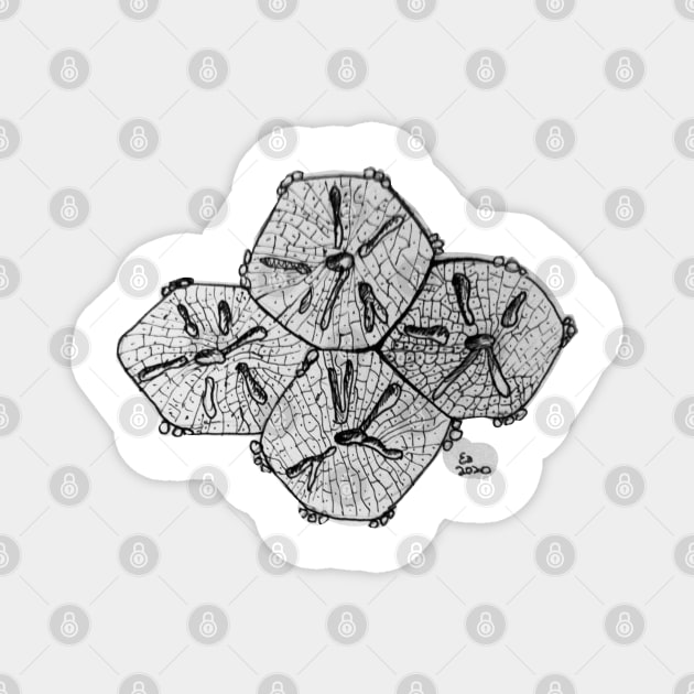 Hepatocyte Pen and Ink Drawing - Hepatocytes - Magnet | TeePublic