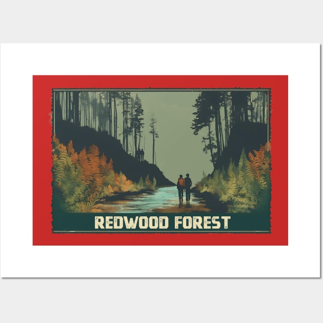 Redwood Forest Hiking Largest Tree in the World - Redwood Forest ...