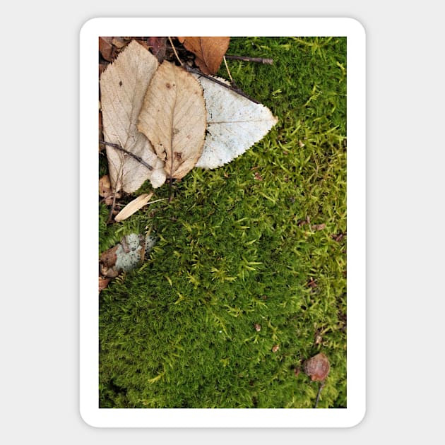 Mossy Leaves - Moss - Sticker | TeePublic