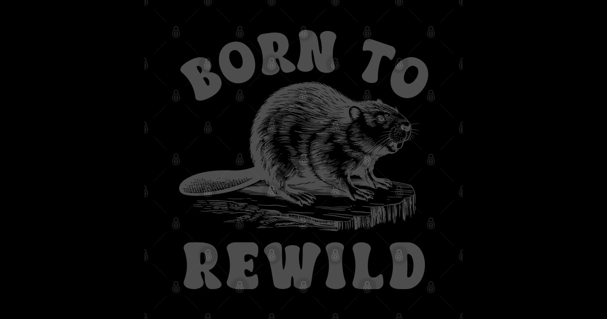 Born to Rewild Beaver Rewilding - Rewilding - Sticker | TeePublic